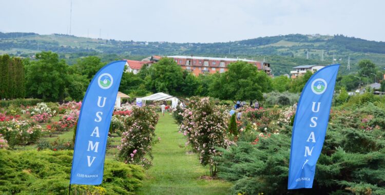„Parfum de Cluj” la USAMV: cireșe și căpșune proaspete, răsaduri de ...