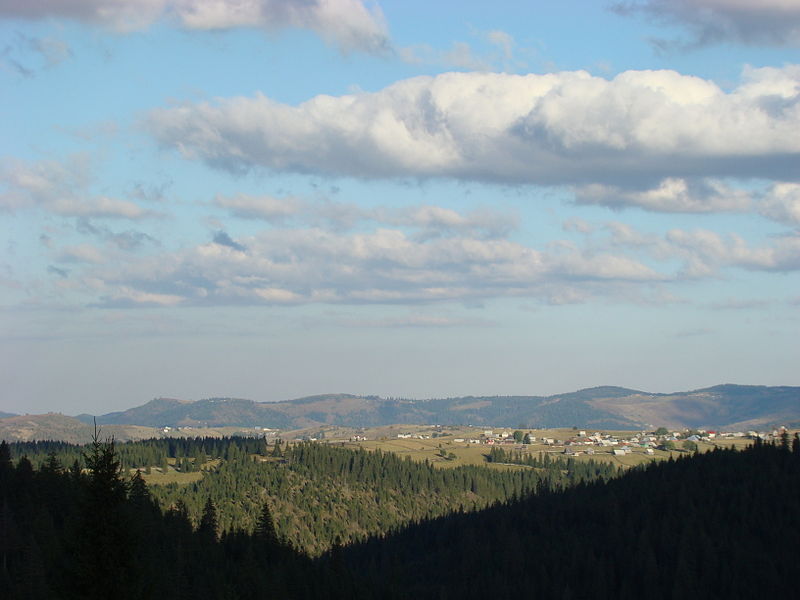 Comuna Marisel | Recenzii | Cluj