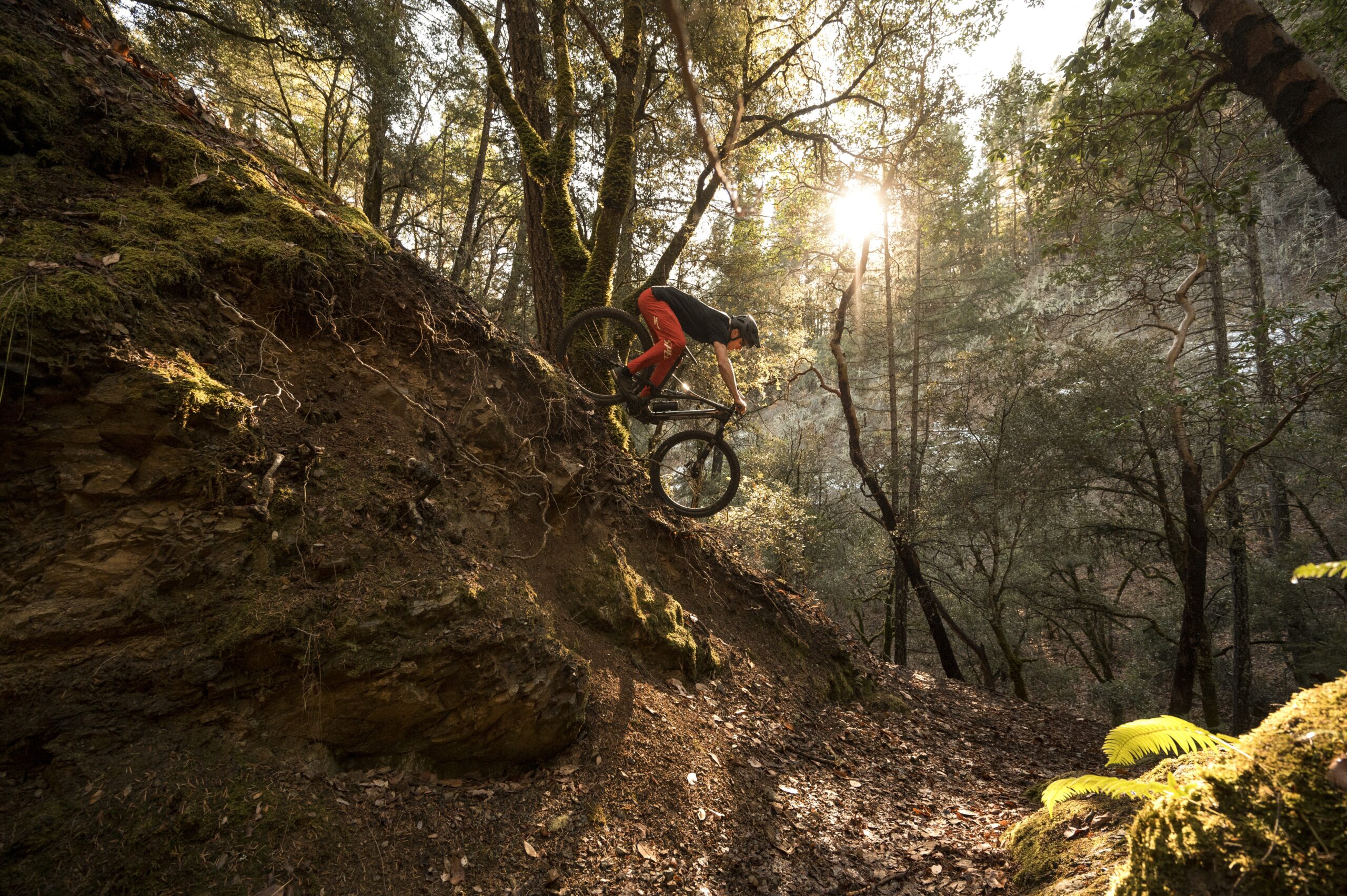 Bicicletă MTB clasică sau electrică? Ce variantă este mai potrivită ...