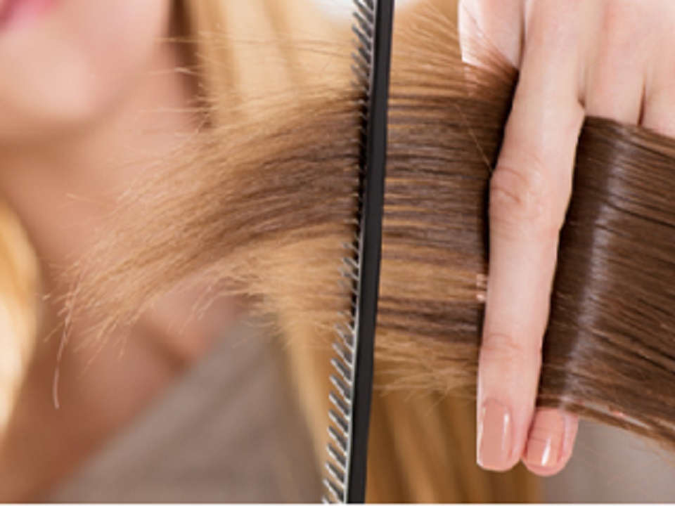 Curs frizer - Cluj-Napoca, Cluj.com