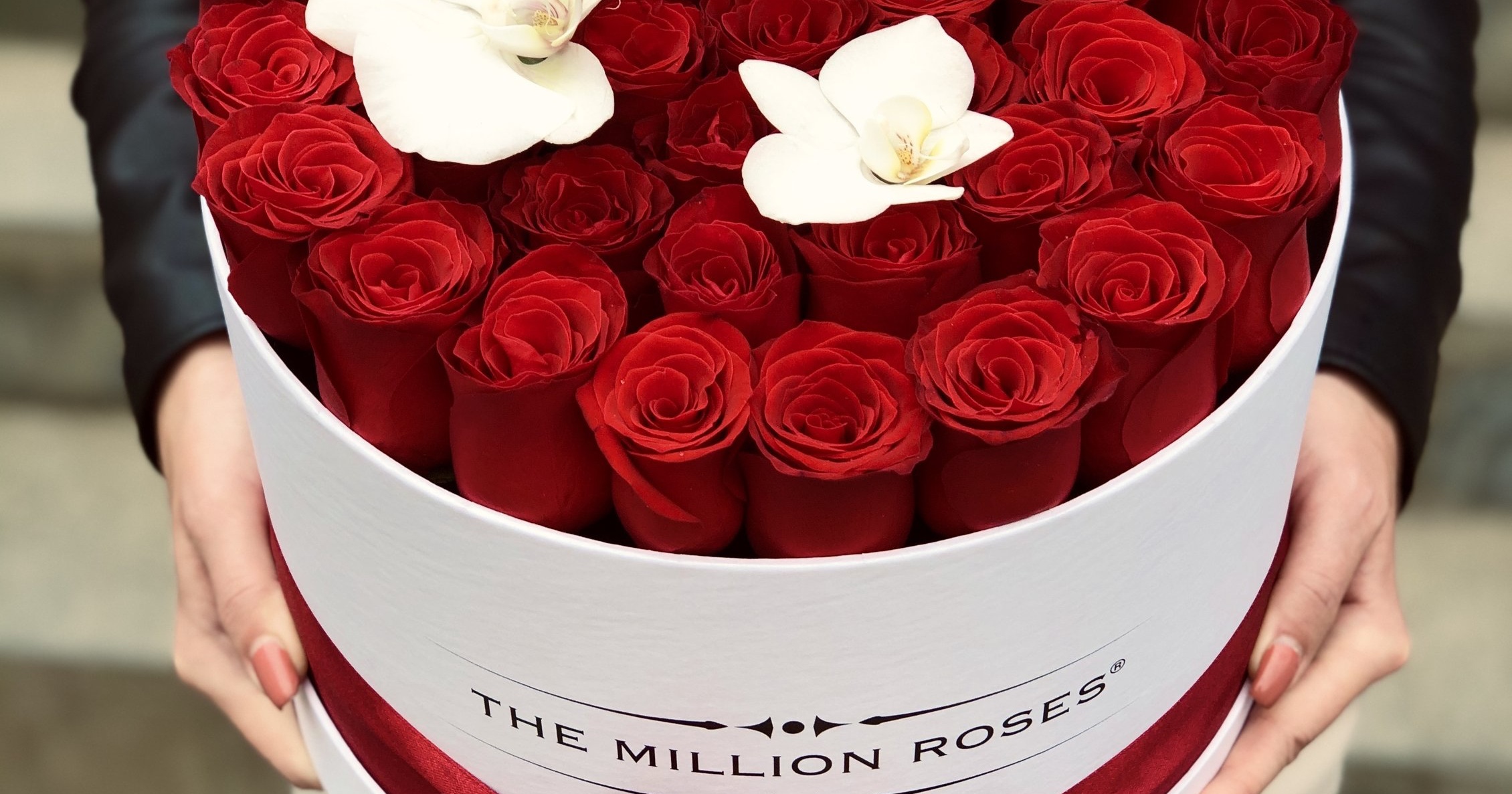 Florile în cutie: noua tendință care te va ajuta să impresionezi pe oricine