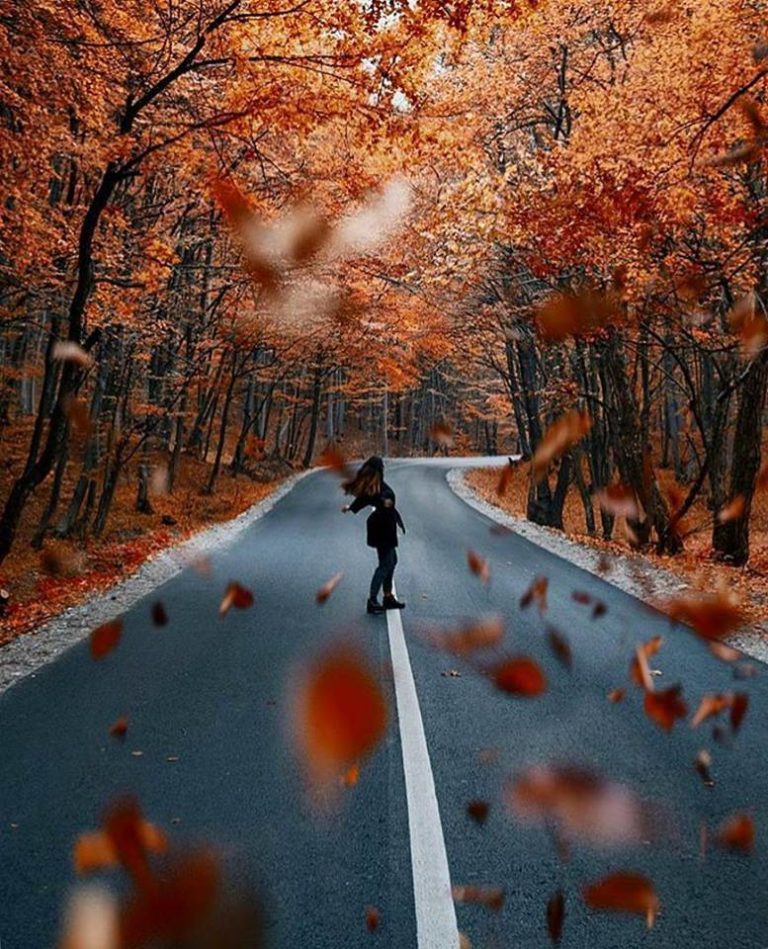 Clujul în 13 fotografii ale lunii octombrie - Retrospectivă FOTO