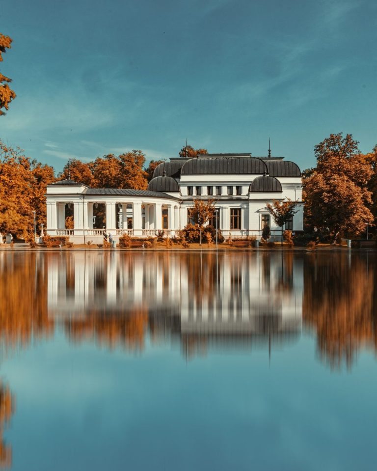 De la eclectic la modern: dicționarul de arhitectură al orașului Cluj ...