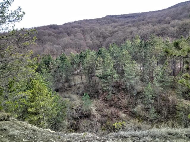 Cheile Baciului: o scurtă escapadă în natură - La doi pași de Cluj