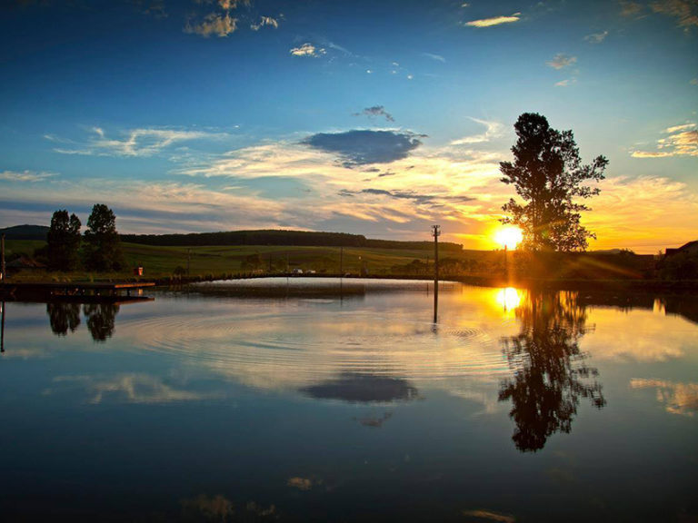 Unde mergem la pescuit în Cluj? 10 lacuri, bălți și râuri din județul Cluj