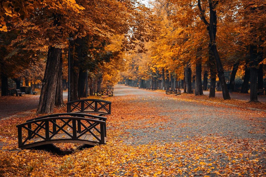 Program de weekend în Cluj: evenimente 3-5 noiembrie 2023