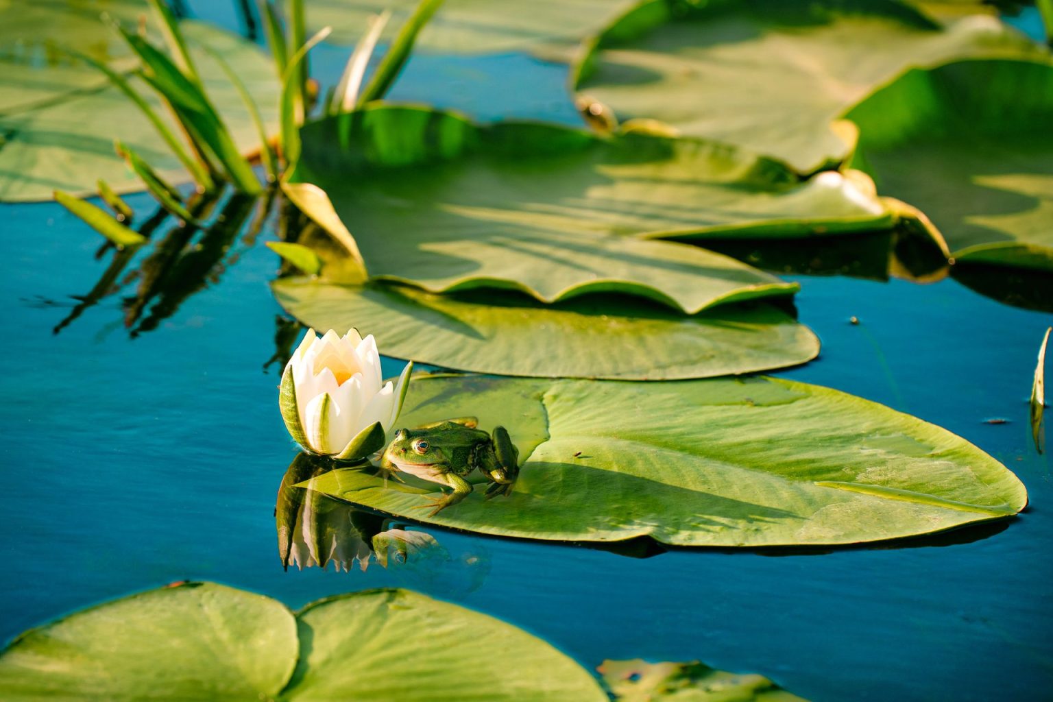 3 lucruri de care sa tii cont atunci cand iti planifici concediul de vara